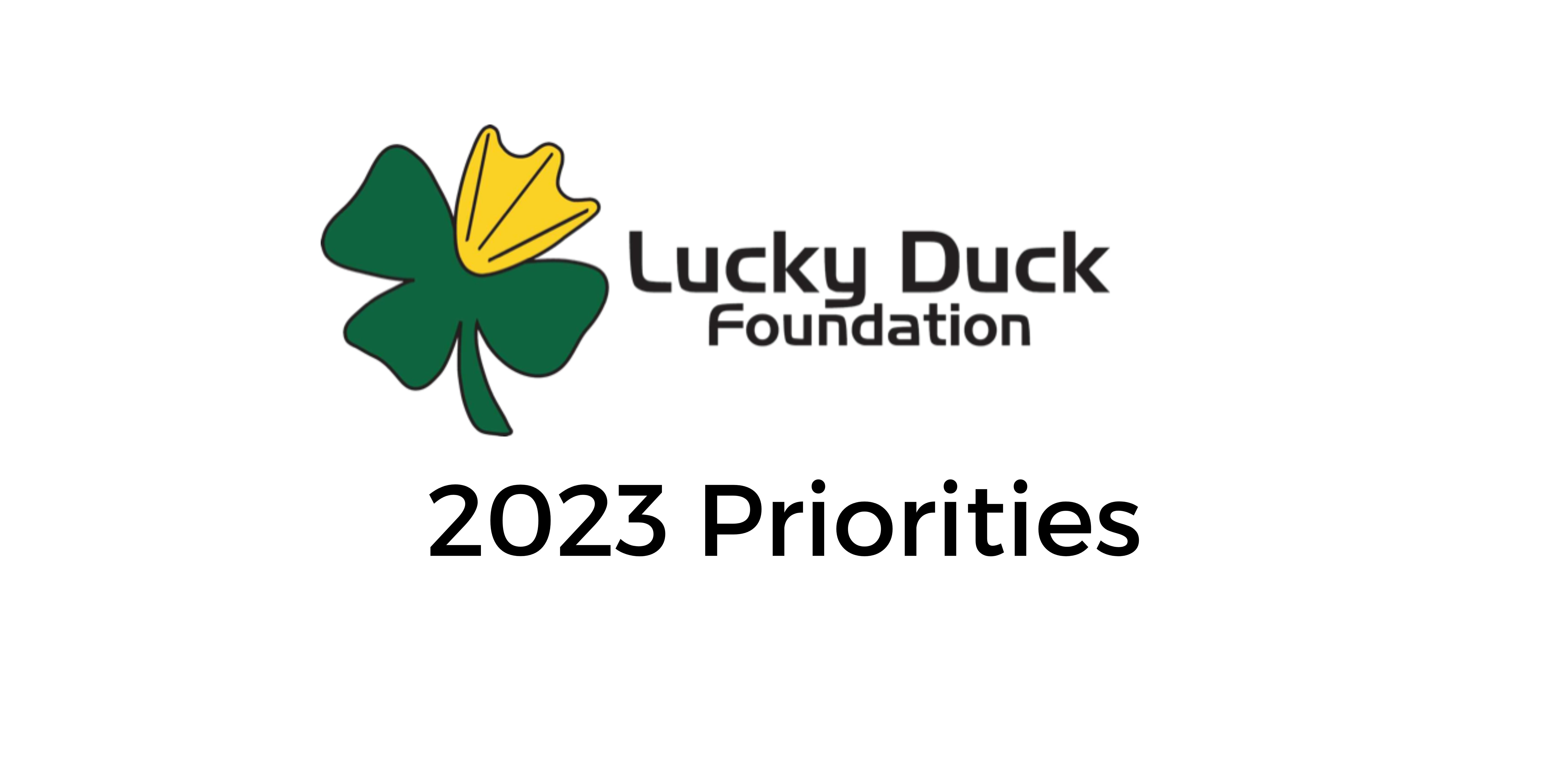 The Lucky Duck Foundations 2023 Priorities For Homelessness Relief